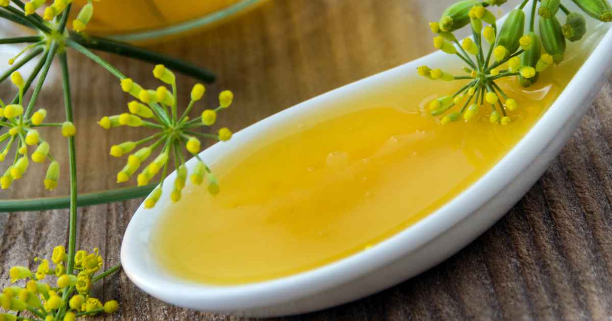 Chá De Funcho, O Que É, Para Que Serve, Benefícios E Muito Mais