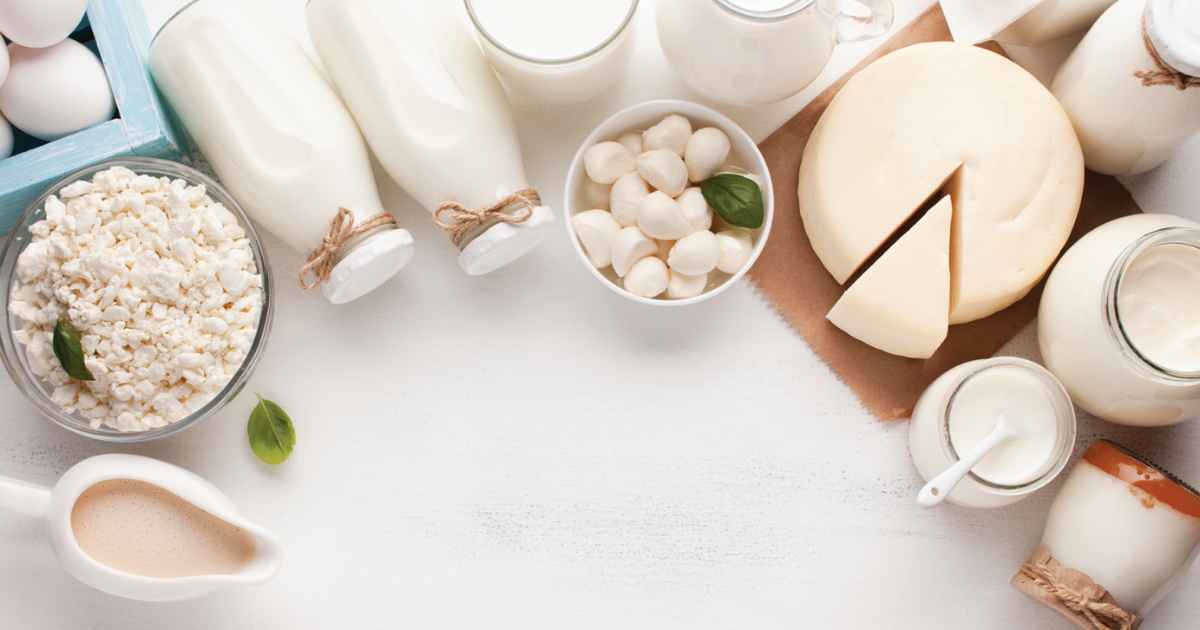 Absorção de Cálcio: Como Aumentar a Absorção Corretamente!