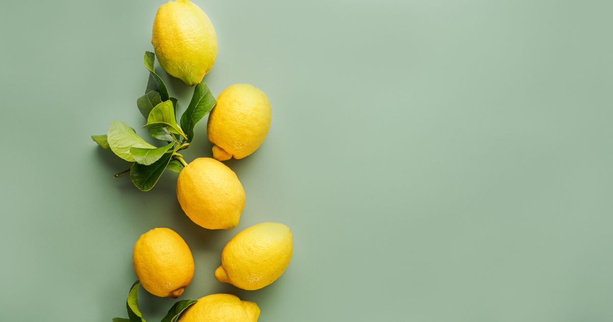 Folhas de Limão: Benefícios e Usos na Culinária e na Saúde - Novidade ...