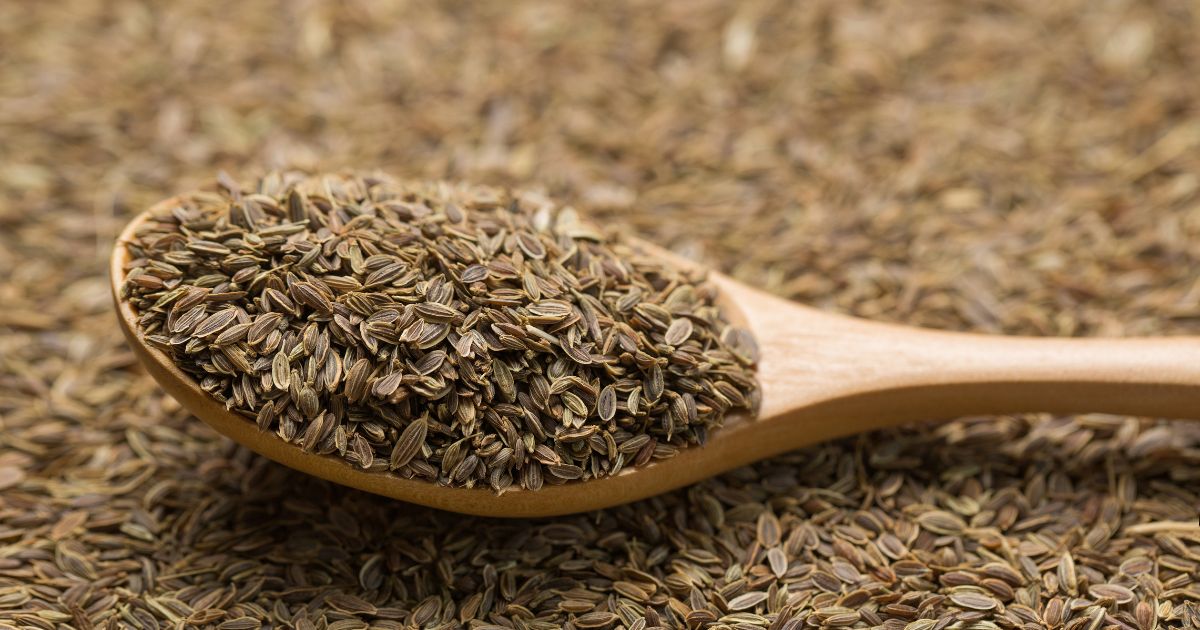 Funcho Seco: Propriedades Medicinais e Receitas - Novidade Saudável